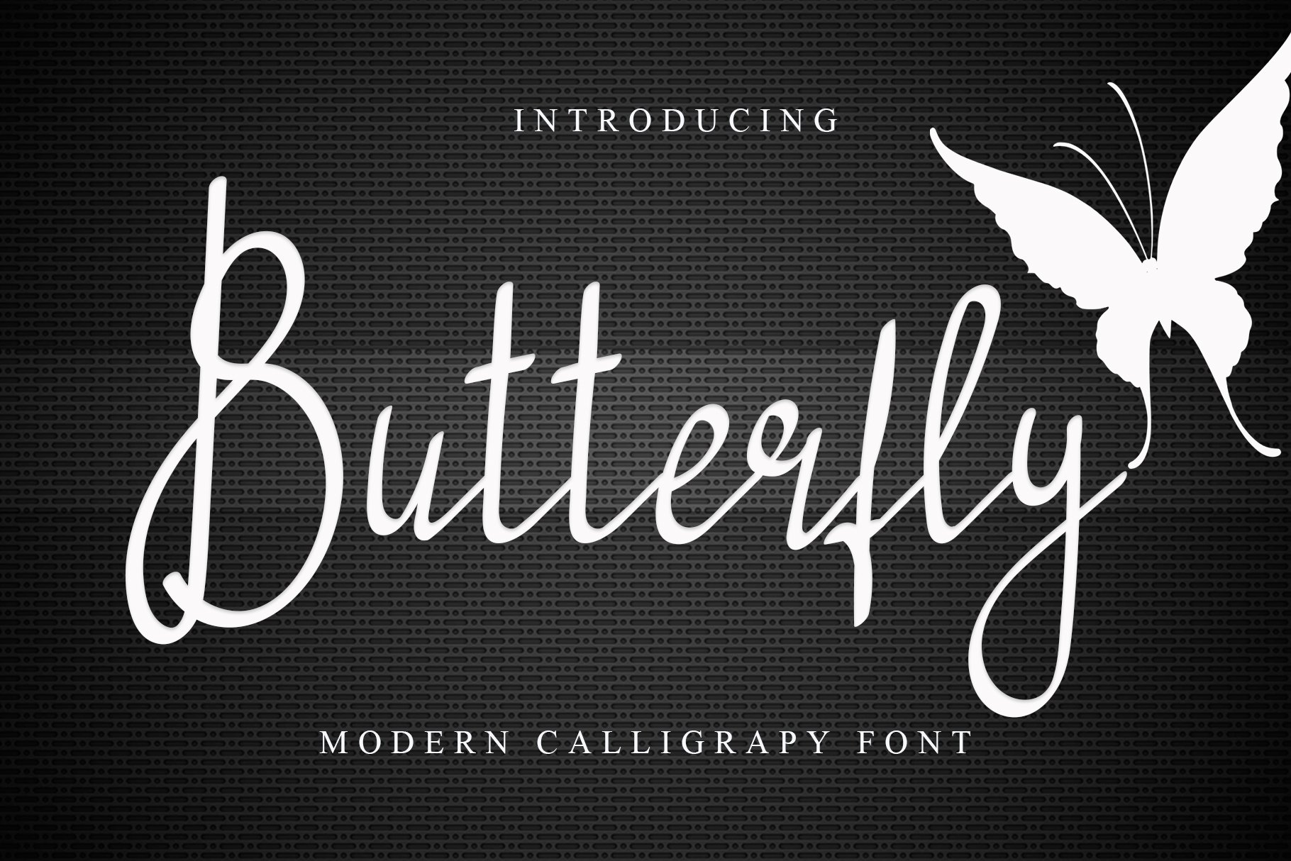 Butterfly Modern Calligraphy Font