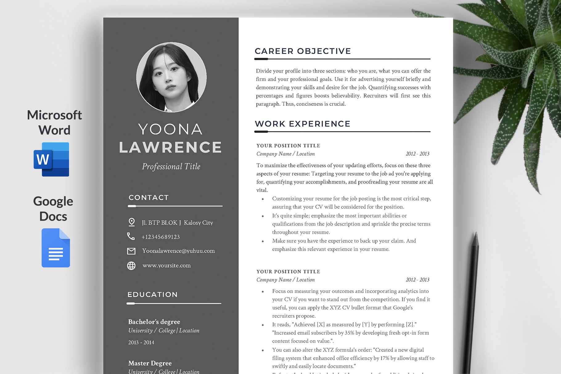 Professional Resume Template Word