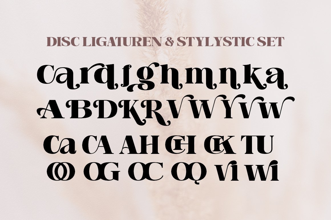 Caslon Swash Font