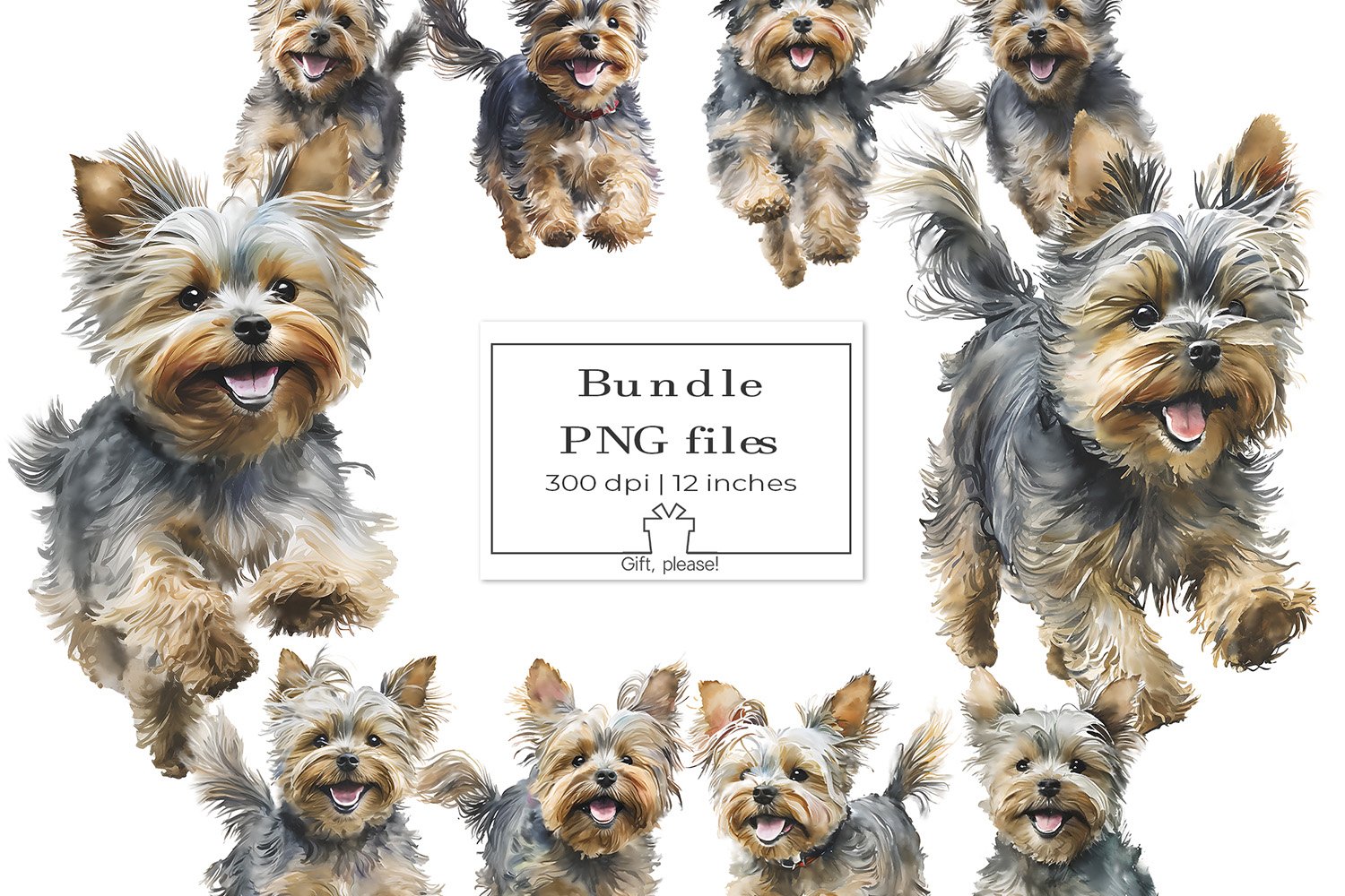 Are Yorkies Good Running Dogs