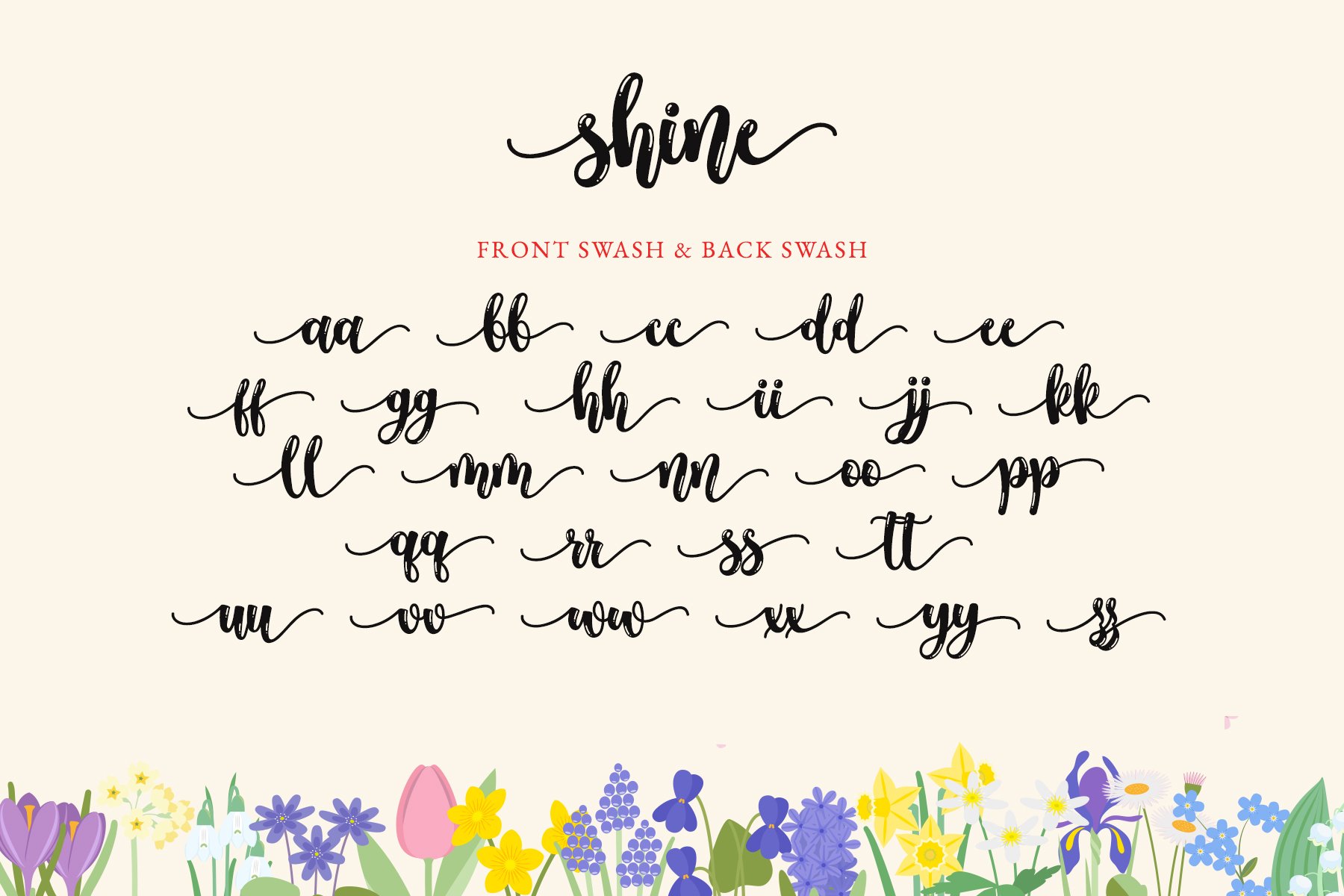 Fancy Cursive Bold Font