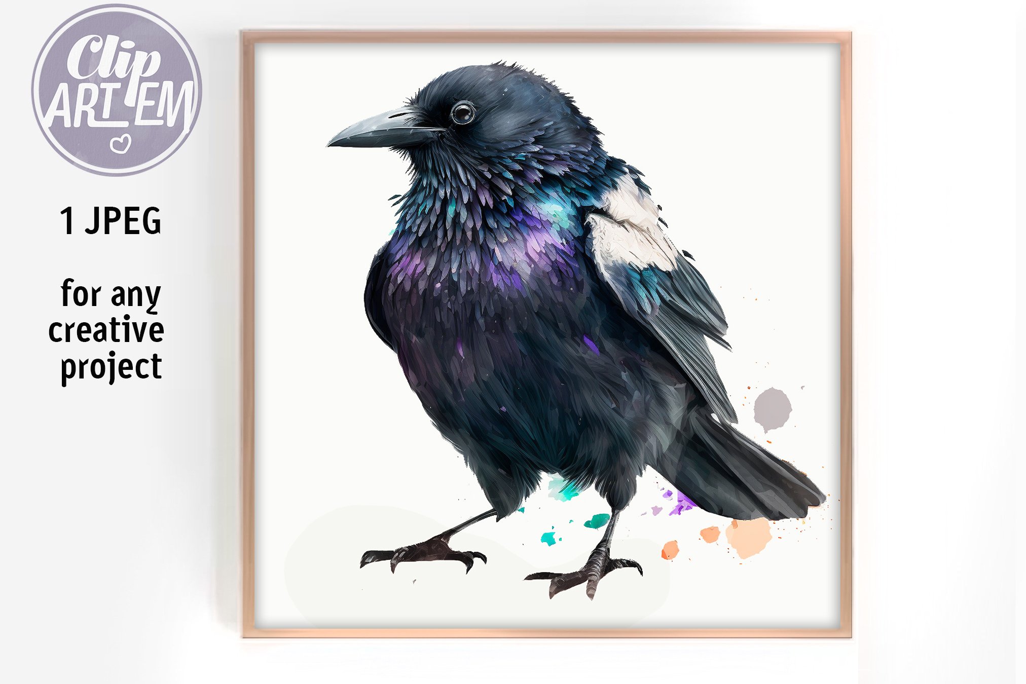 Cute Baby Raven