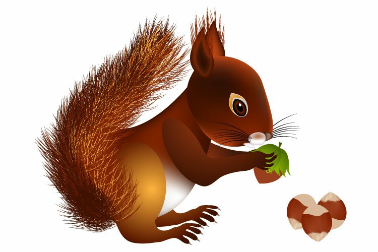 Squirrel With Acorn Clipart