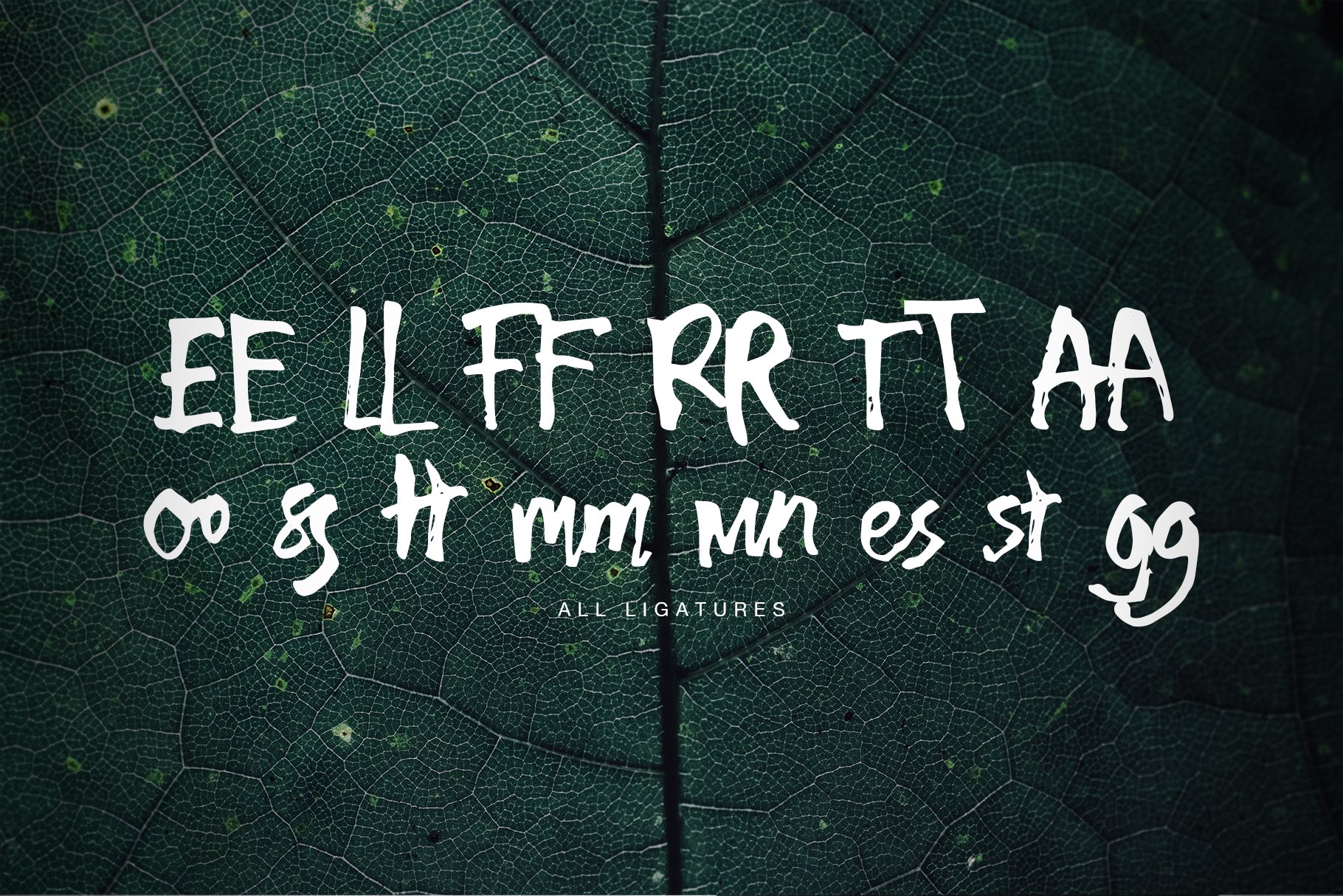 Just Another Day font (149095) | Other | Font Bundles