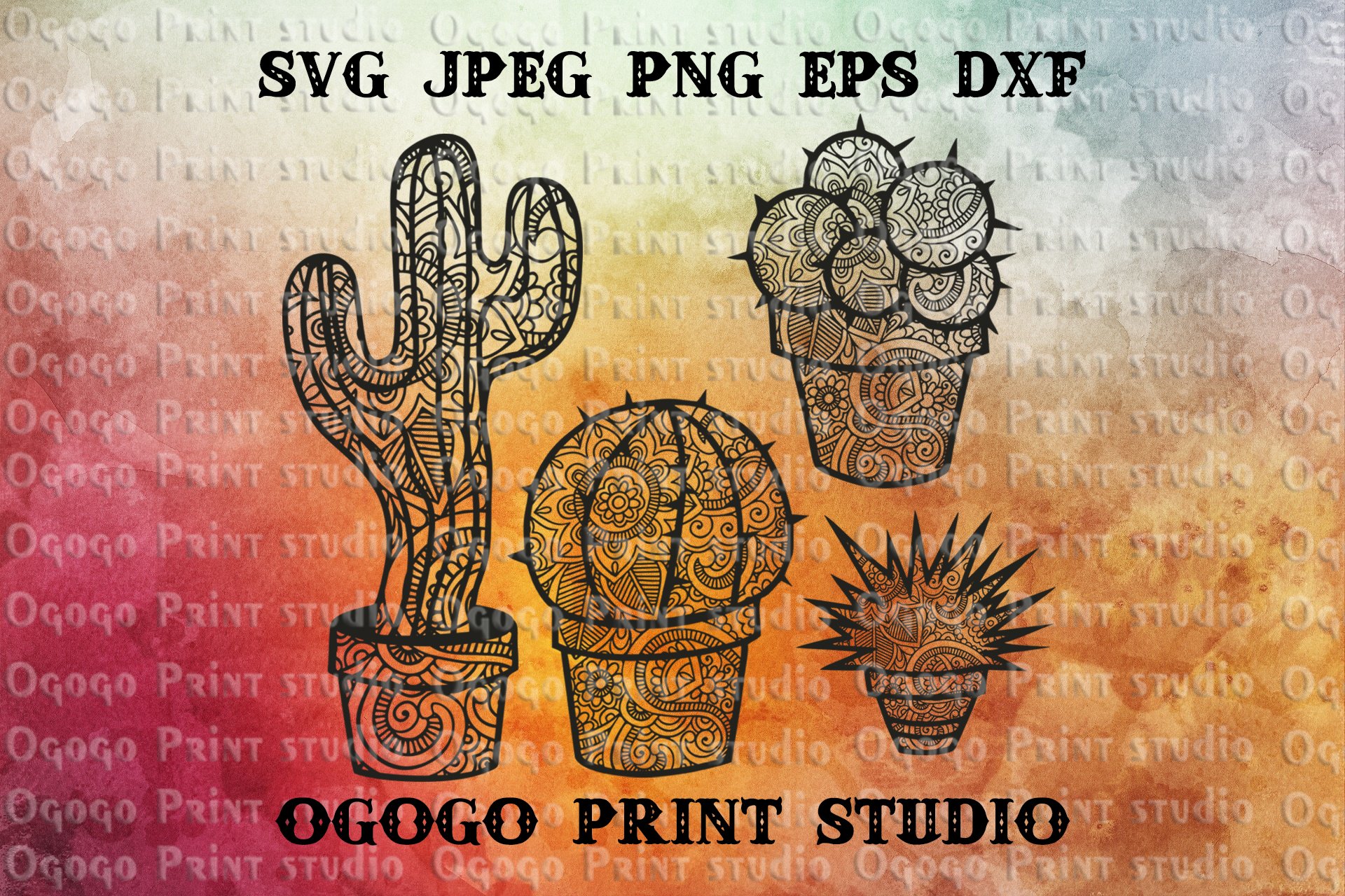 Cactus SVG, Mandala Svg, Zentangle SVG, Succulent svg