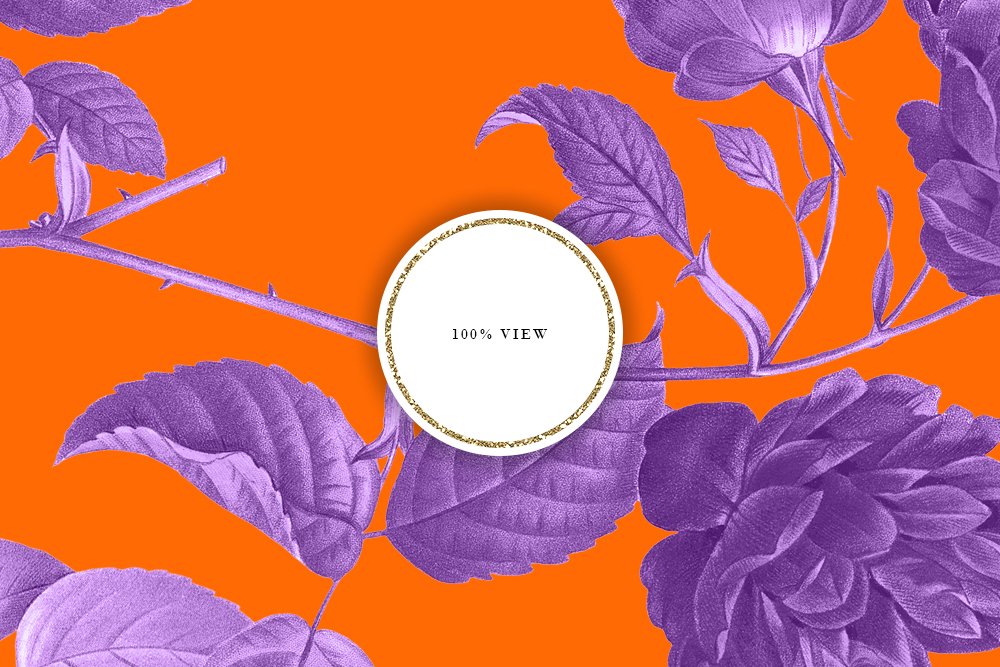 Vintage Floral Seamless Patterns - Purple & Orange (362665) | Patterns ...