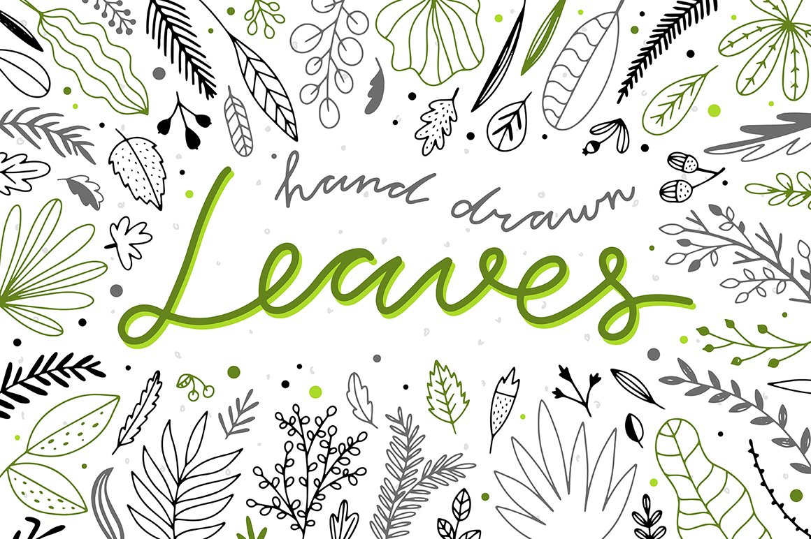 Hand Drawn Leaves (118928) | Illustrations | Design Bundles