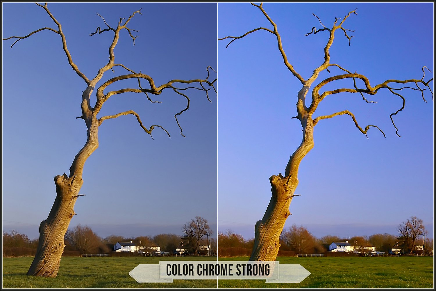 Fuji Film Simulation Modes Profiles LR 7.3 ACR 10.3 (142291 ...