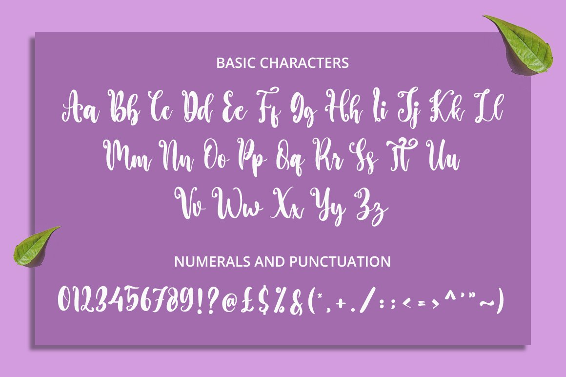 Betterday Script (796876) | Handwritten | Font Bundles