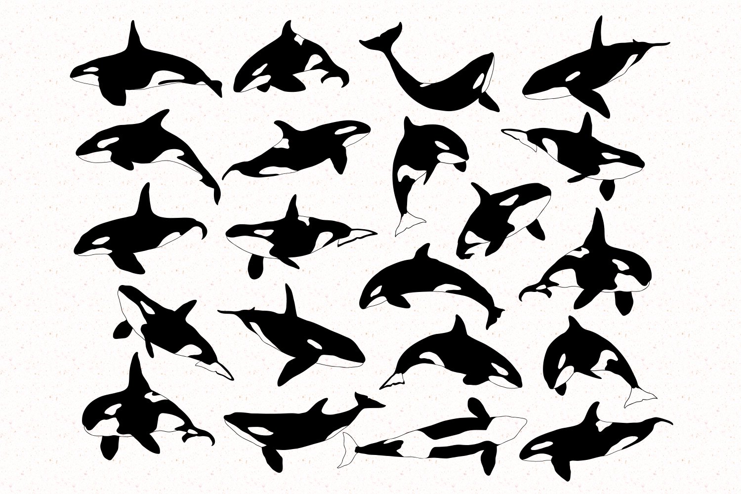 Orca SVG