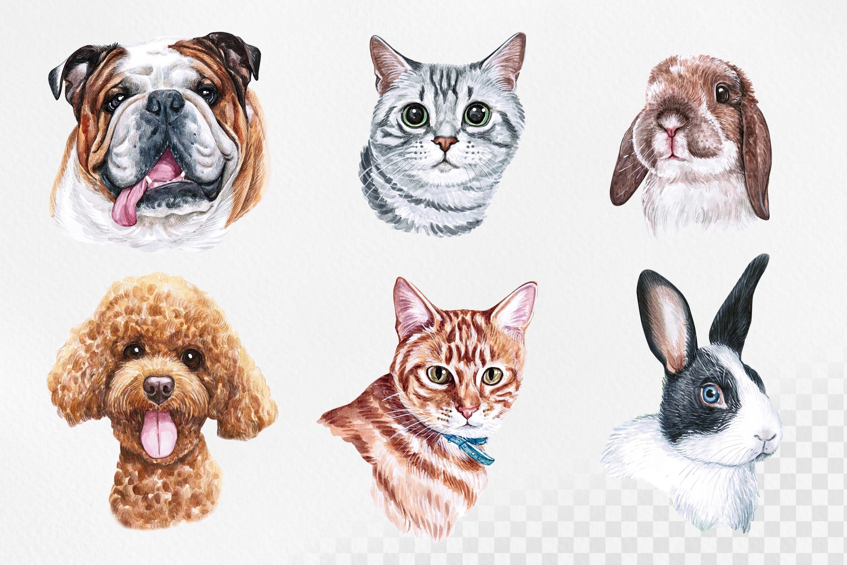 Watercolor set PET illustrations. Cute 12 pets. (722123 ...