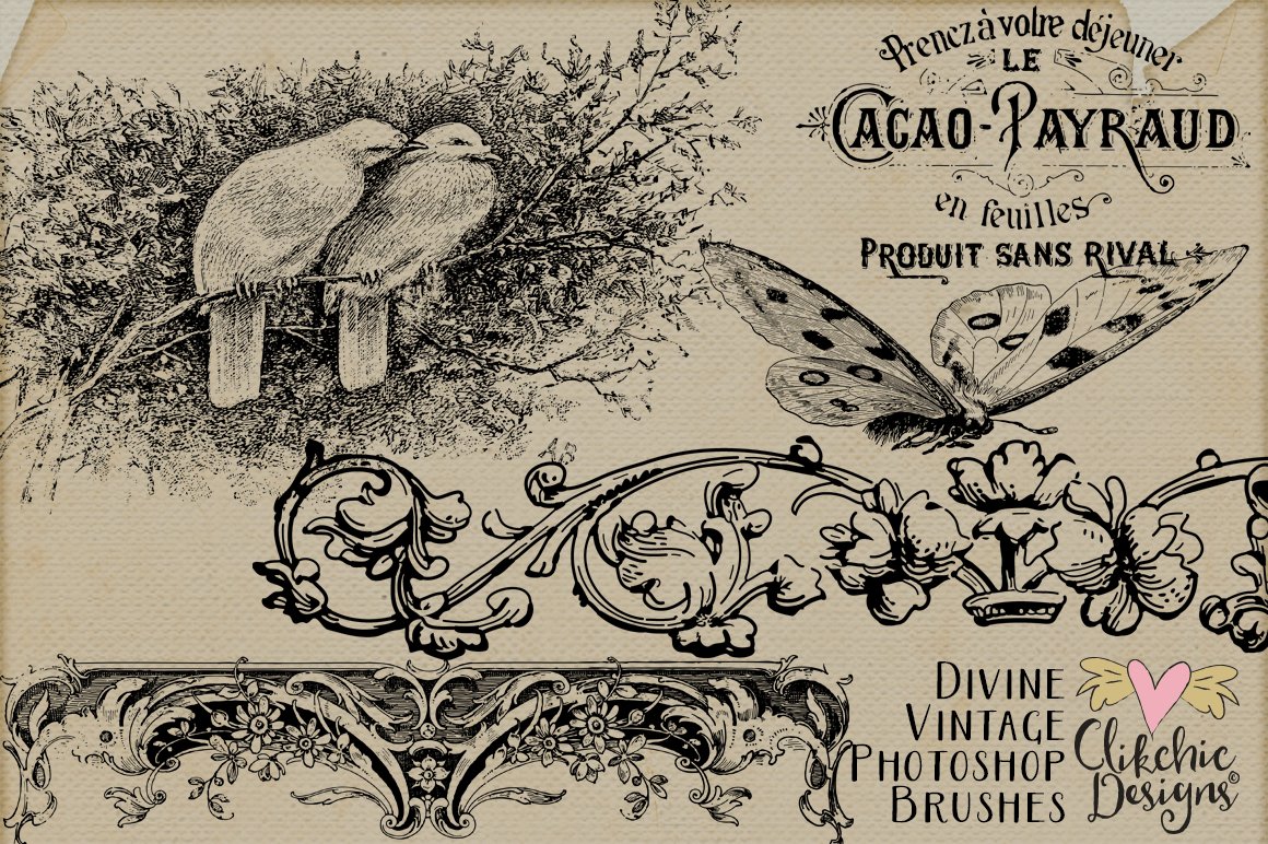 Divine Vintage Illustrations & Photoshop Brushes (84688 ...