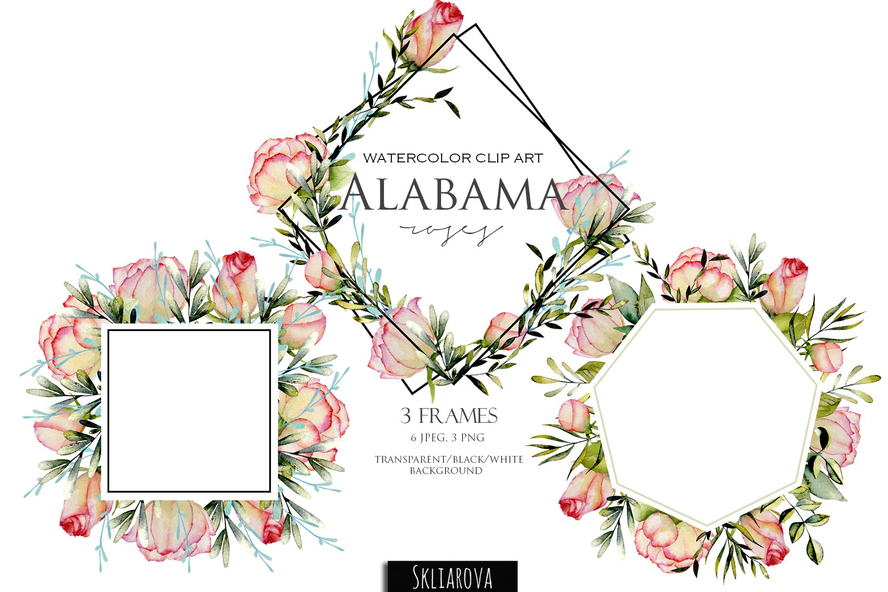 Alabama roses. 3 Frames. (310113) | Illustrations | Design Bundles