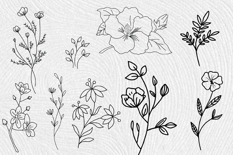 72 Botanical Doodles (193380) | Illustrations | Design Bundles