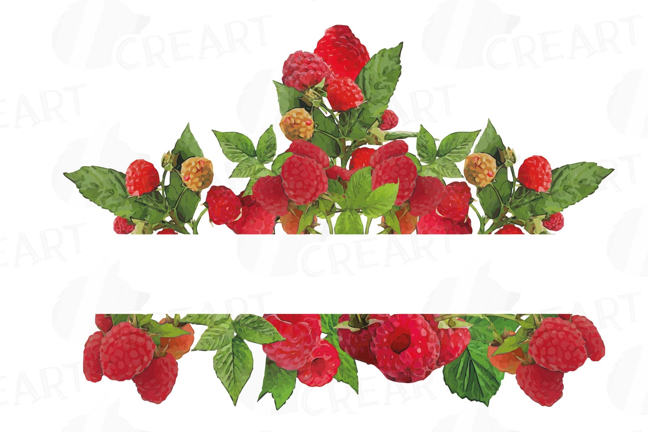 Raspberry frames watercolor clip art pack, Raspberry fruit (114031 ...