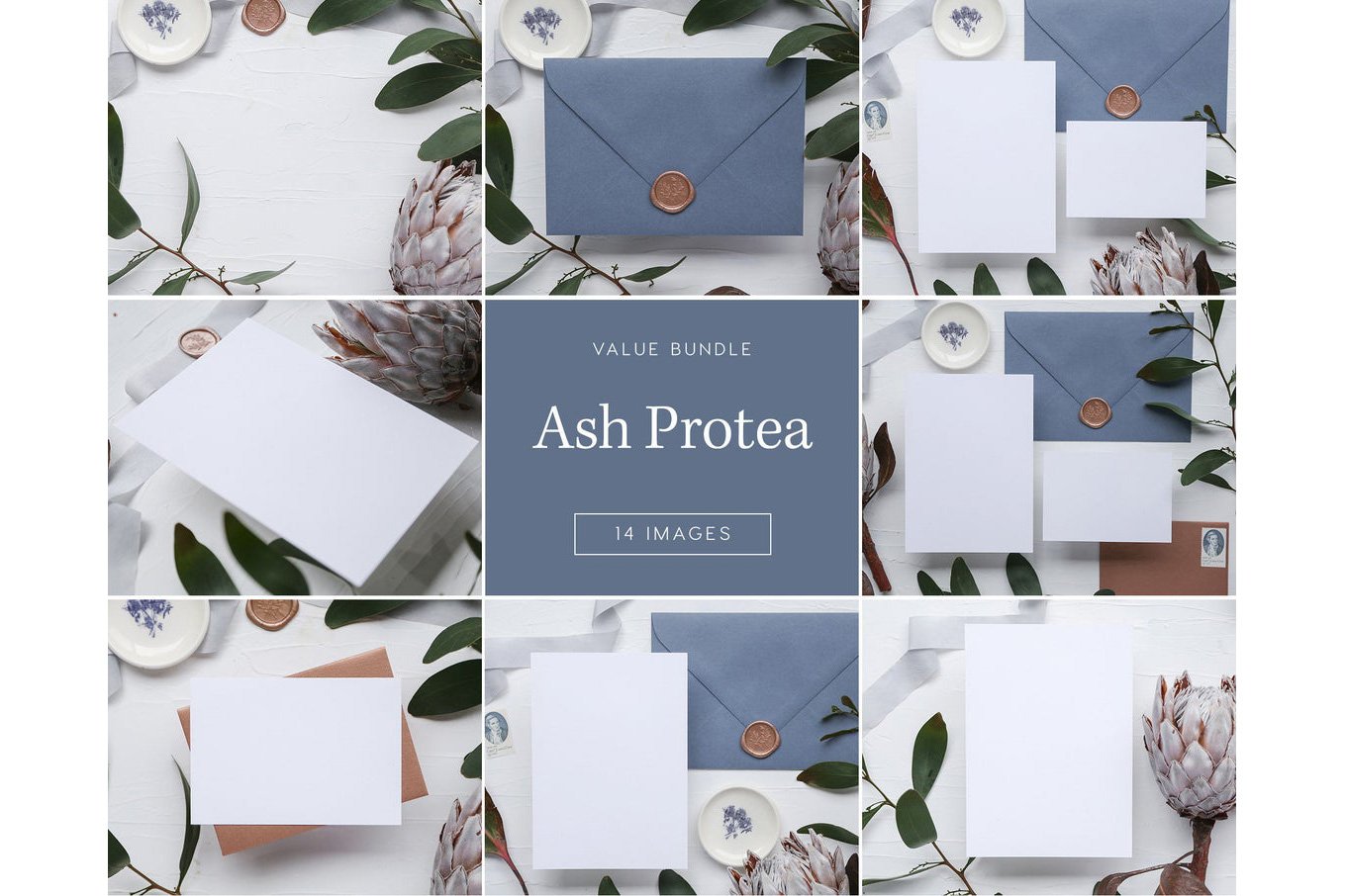 Ash Protea Bundle - 14 Images (570426) | Arts and Entertainment ...