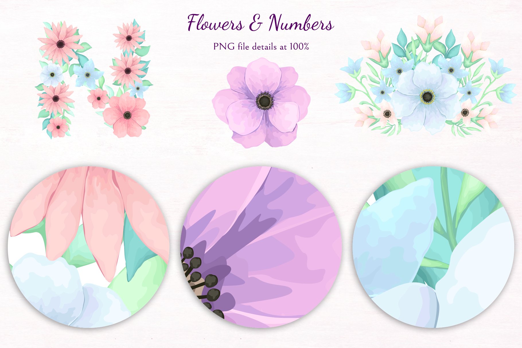 Flowers & Numbers (540691) | Illustrations | Design Bundles