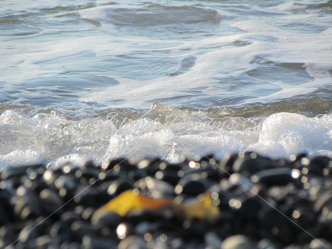 Beach Bundle (39352) | Nature | Design Bundles