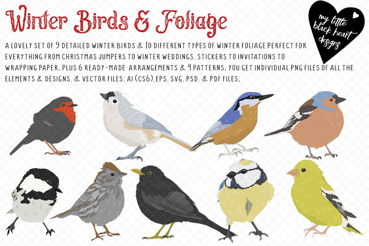 Winter Birds Names