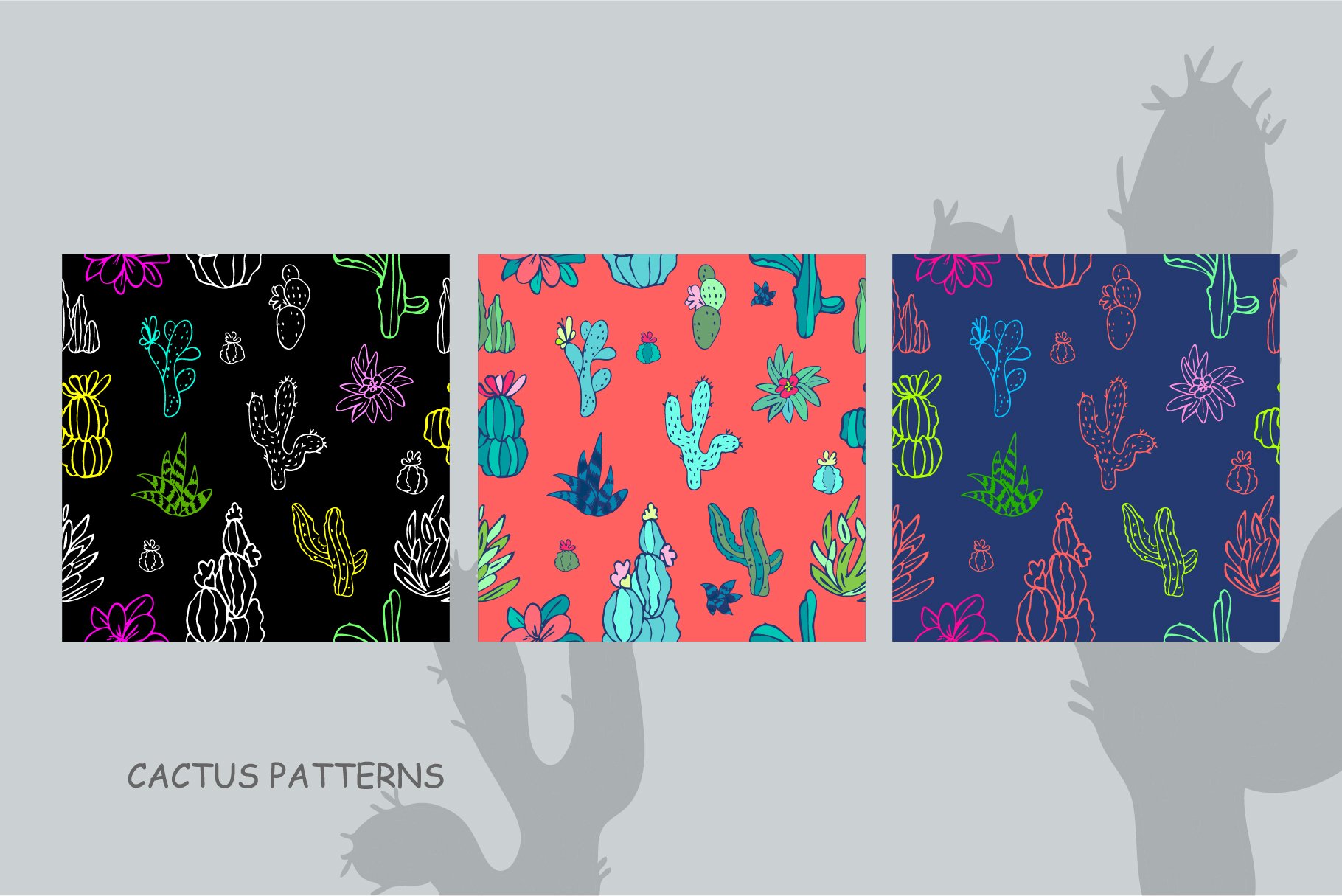 Cactus set. Cactus and succulent. Patterns and elements. (275437 ...