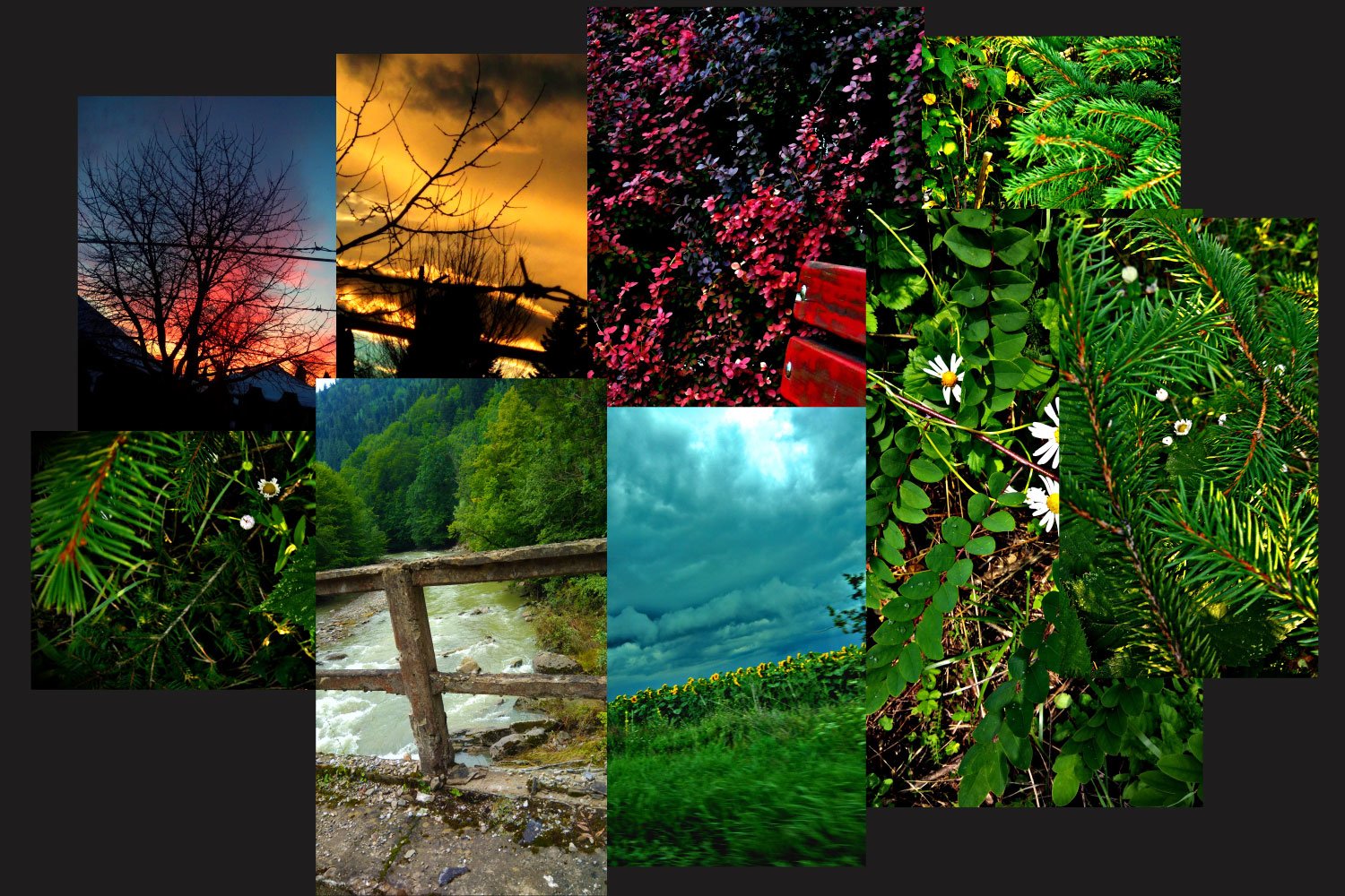 Magnificent Landscapes Photos (120223) | Nature | Design Bundles