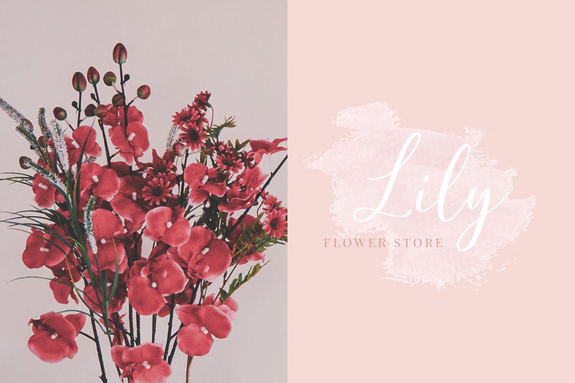 Caroline Script (662265) | Calligraphy | Font Bundles