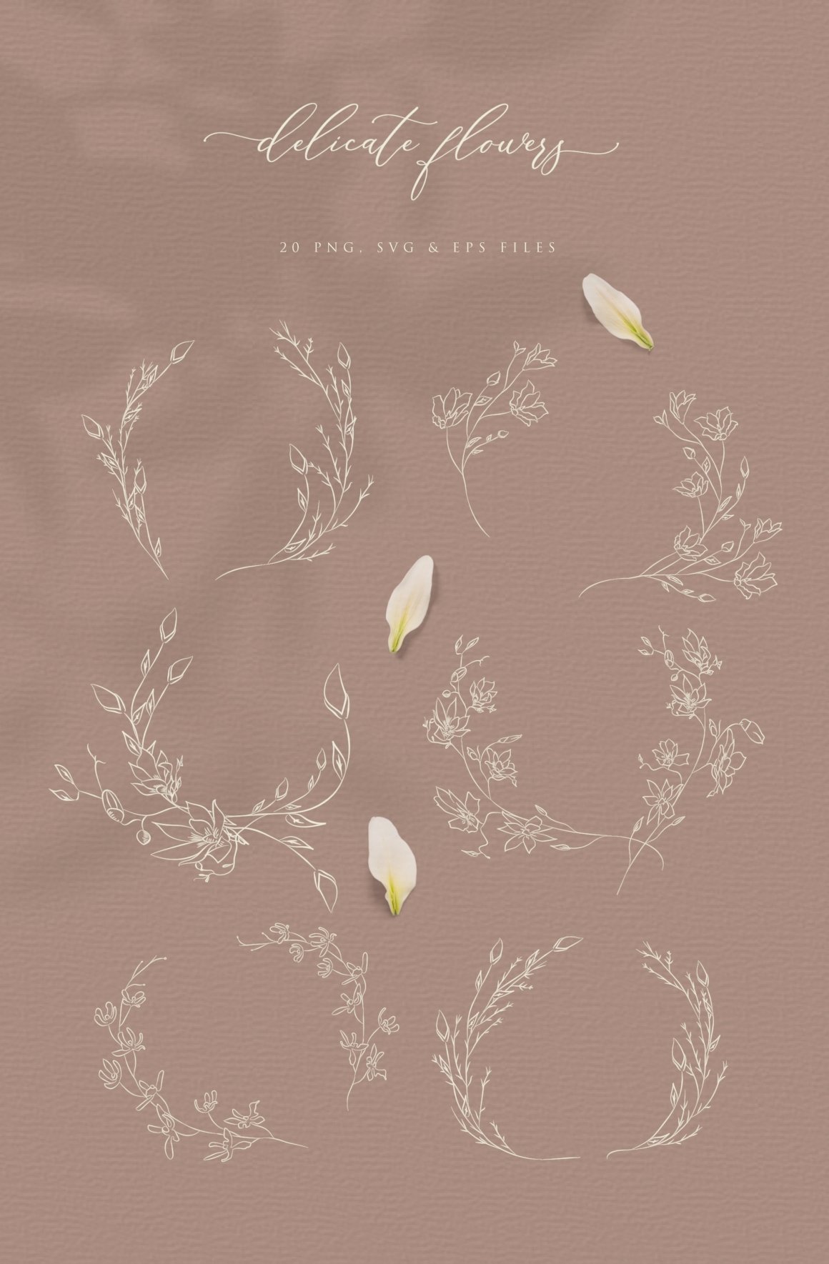 Line drawing botanical illustrations. White color. Flowers. (665995 ...