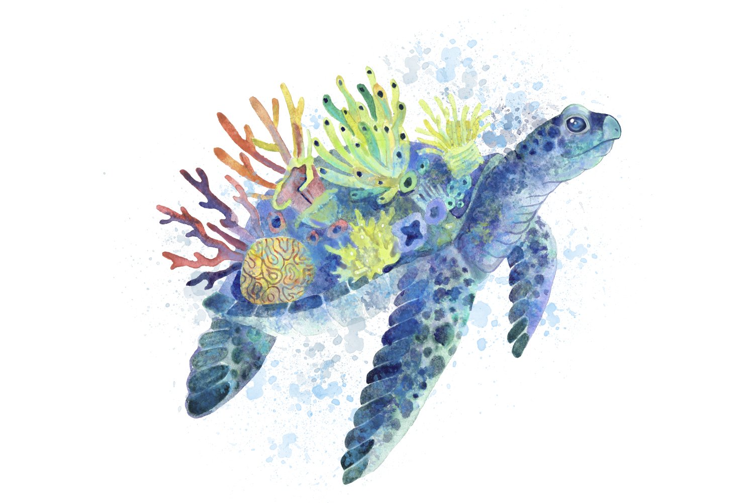 Sea creatures, Sea prints, watercolor drawings (737860) | Characters ...