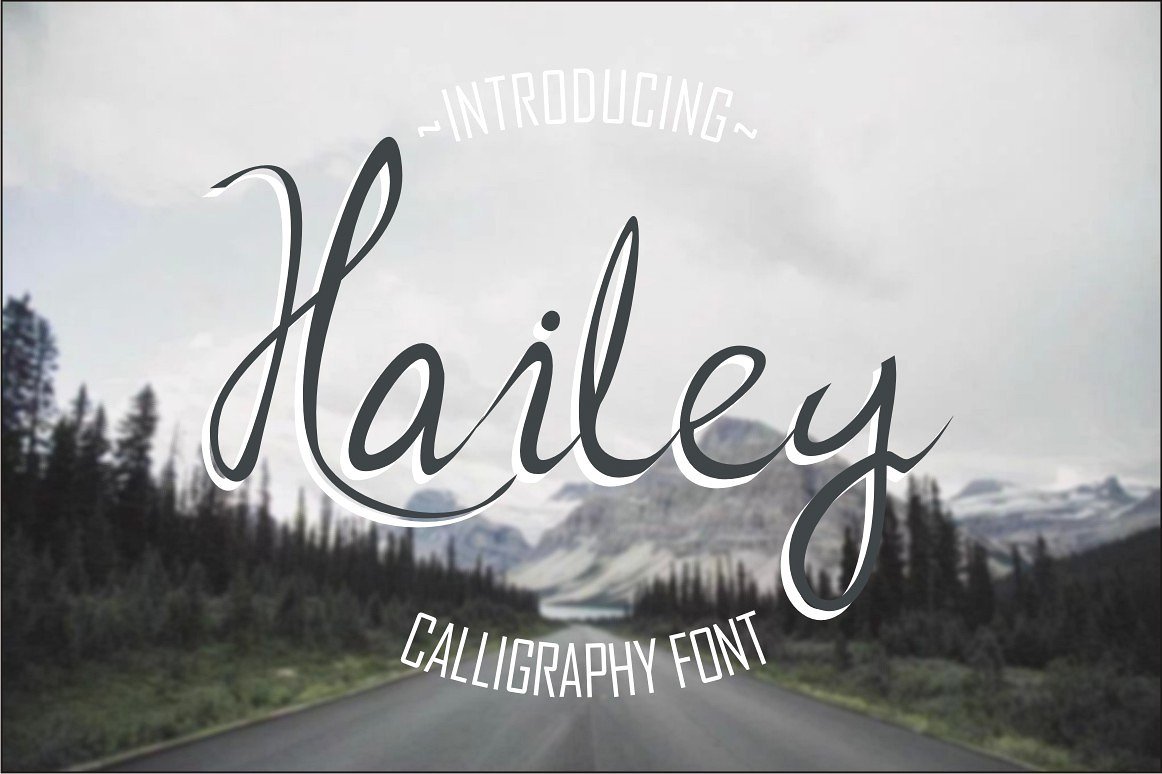 Hailey (12014) | Script | Font Bundles