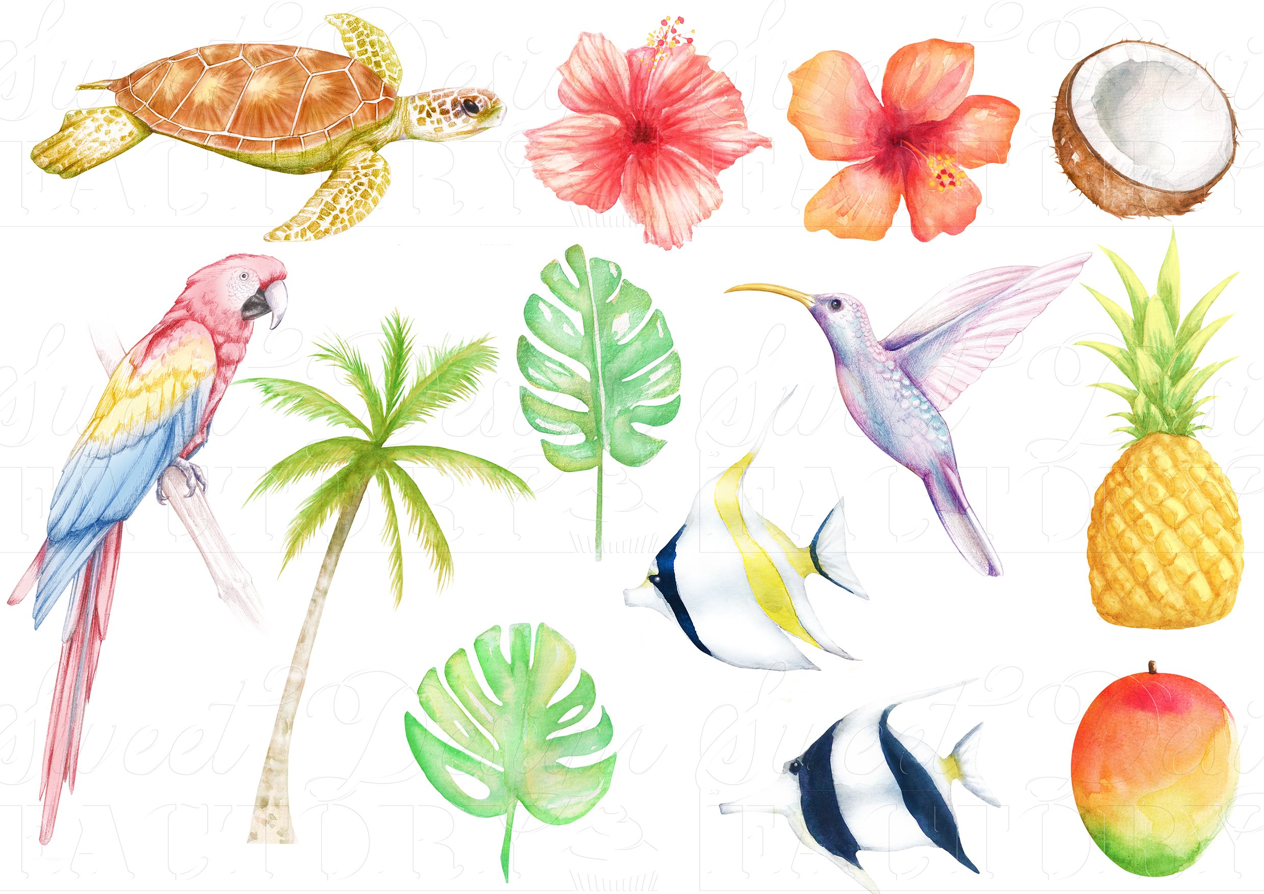 watercolor tropical clipart (81601) | Illustrations | Design Bundles