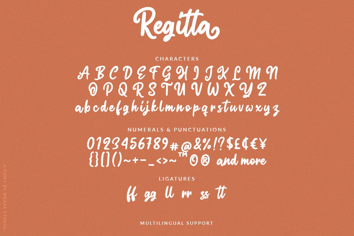 Regitta - Playful Script (513338) | Monoline | Font Bundles