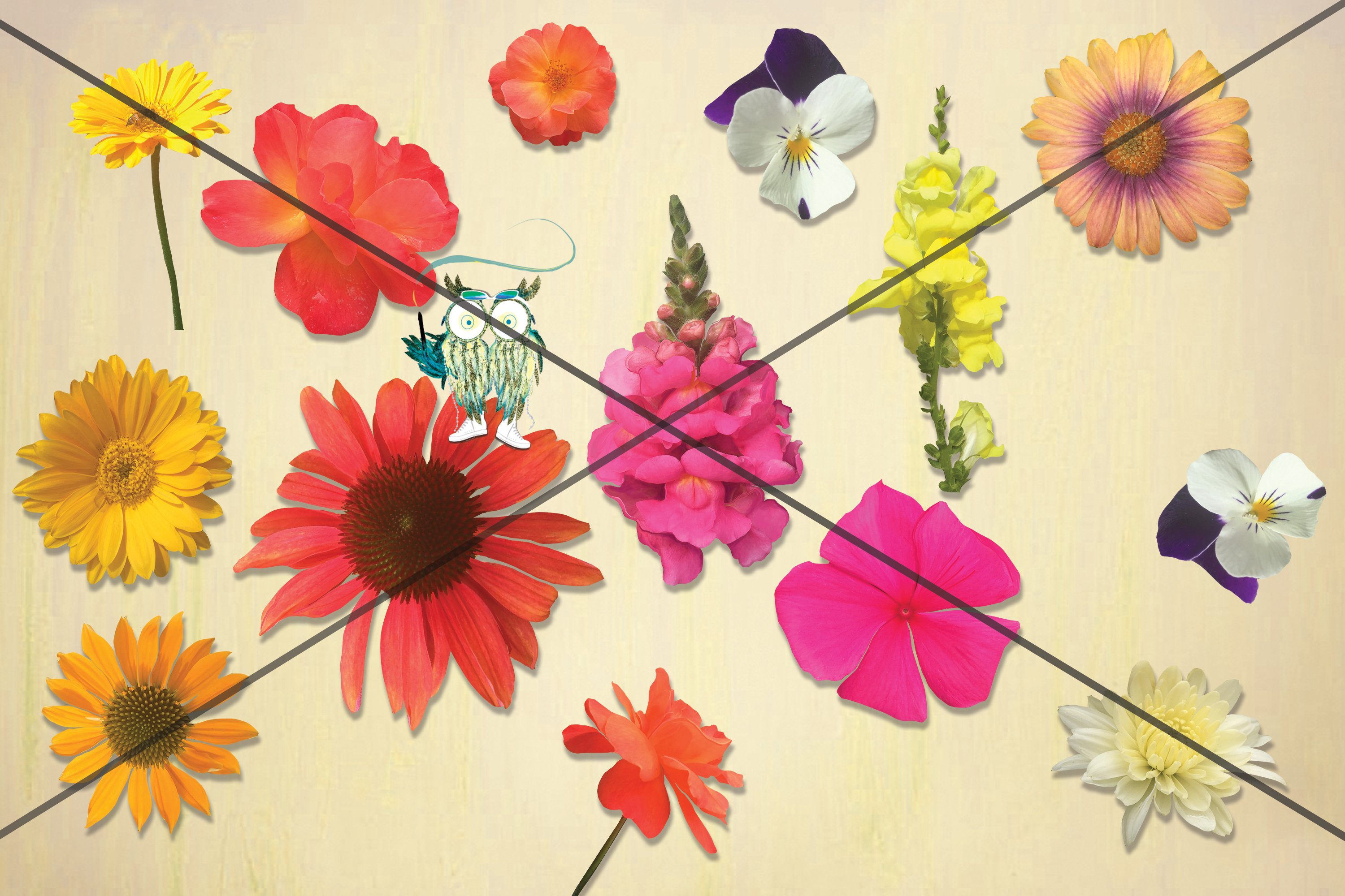 Country Bumpkin (158155) | Illustrations | Design Bundles