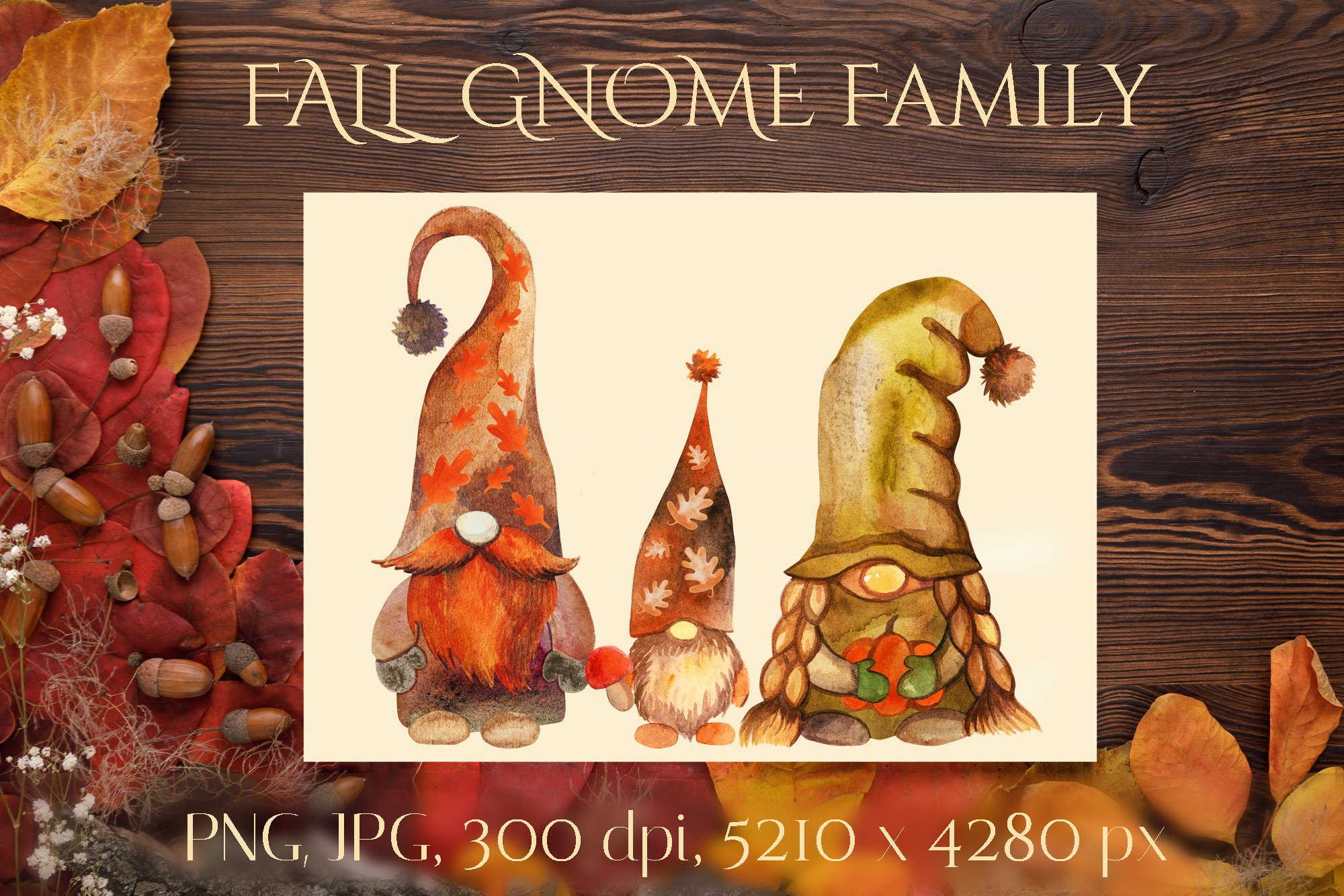 Gnome Bundle. Christmas Gnomes. Halloween Gnomes. Fall gnome (946478 ...