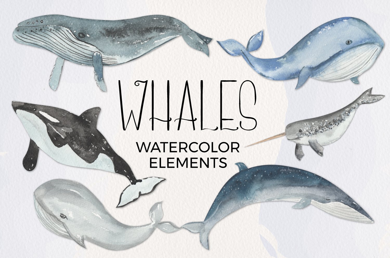 Whales Watercolor Narwhal 6 Elements Hand Painted Ocean