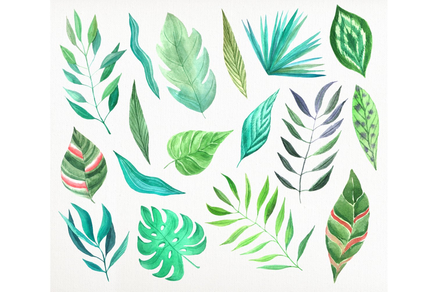 Watercolor Tropical BUNDLE (5591) | Illustrations | Design Bundles