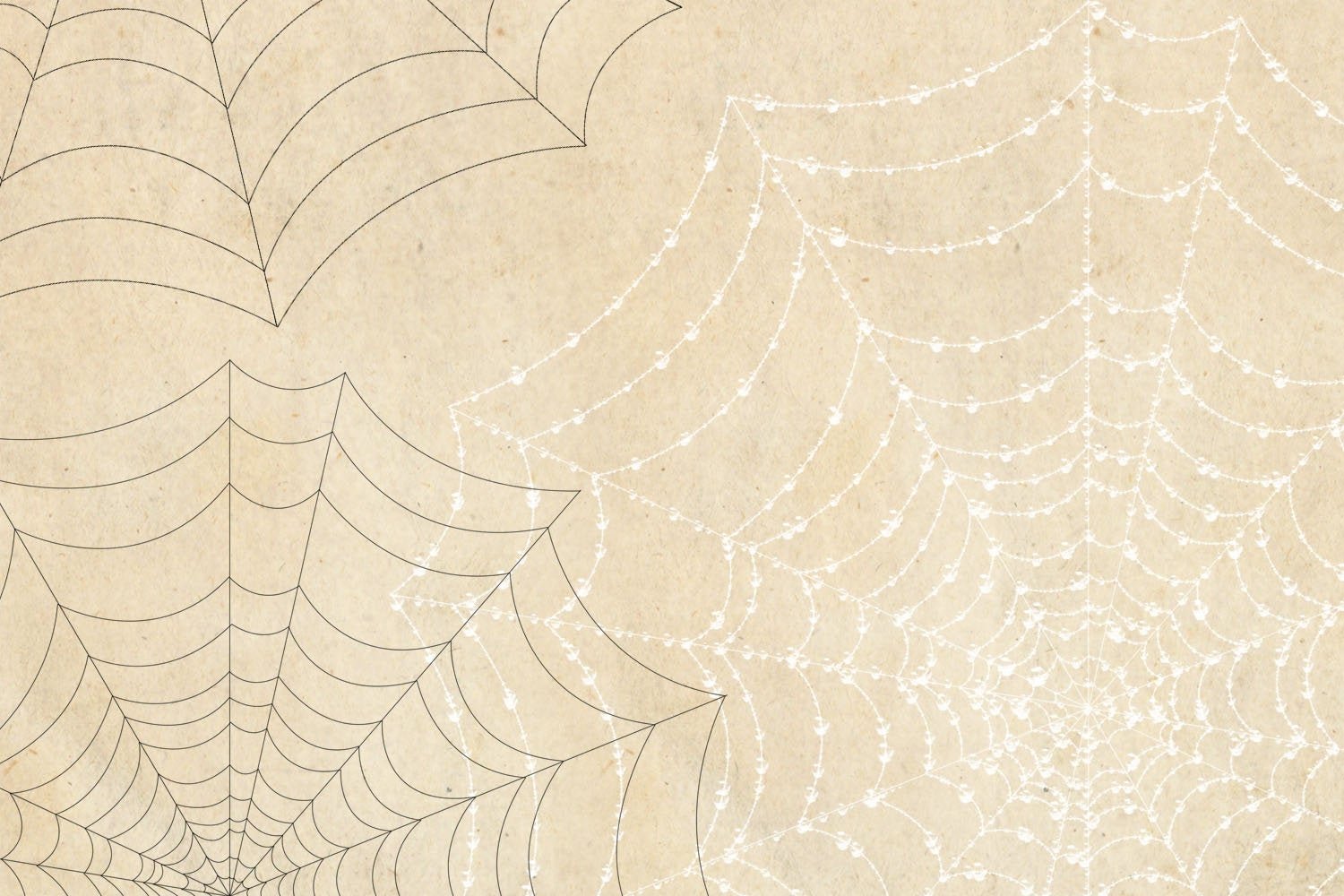 Cobweb Overlays (300450) | Illustrations | Design Bundles