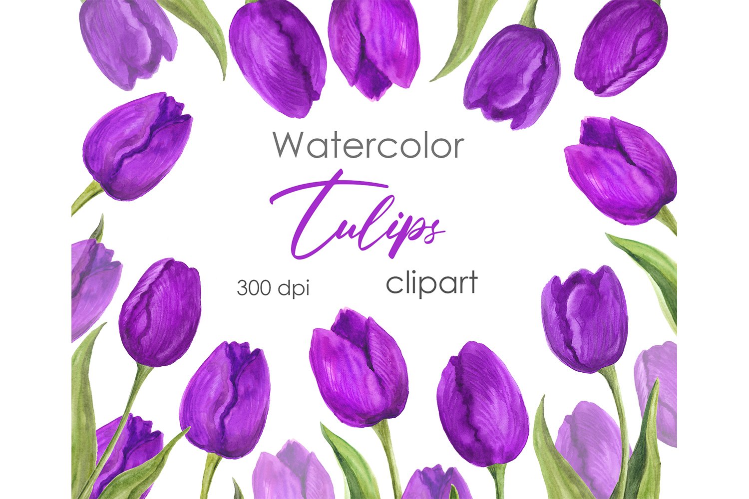 Flower Tulip Clipart