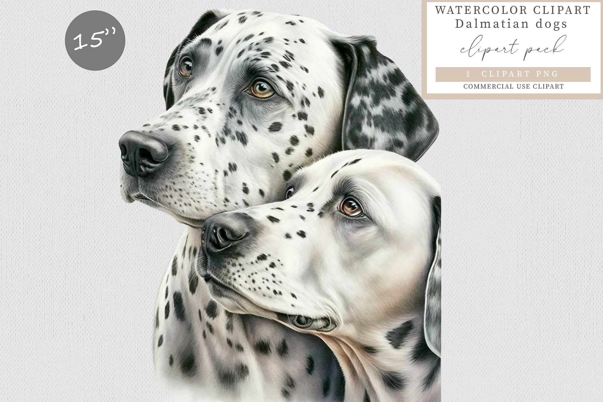 Dalmatian Dog Clipart