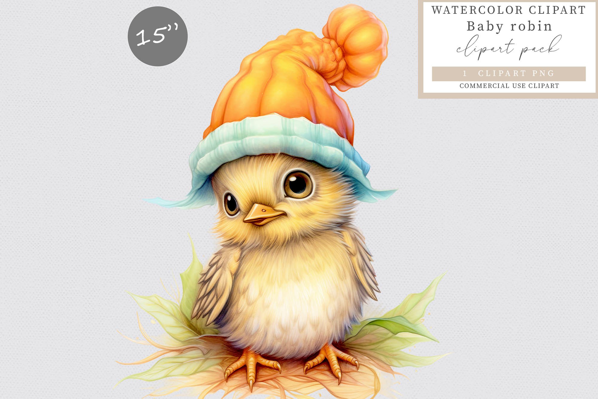 Spring Robin Clipart