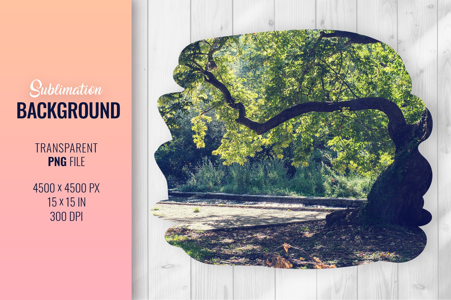 Tree Sublimation Background (1217960) | Sublimation | Design Bundles