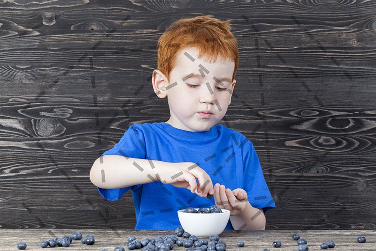 blueberry and boy (714235) | People | Design Bundles