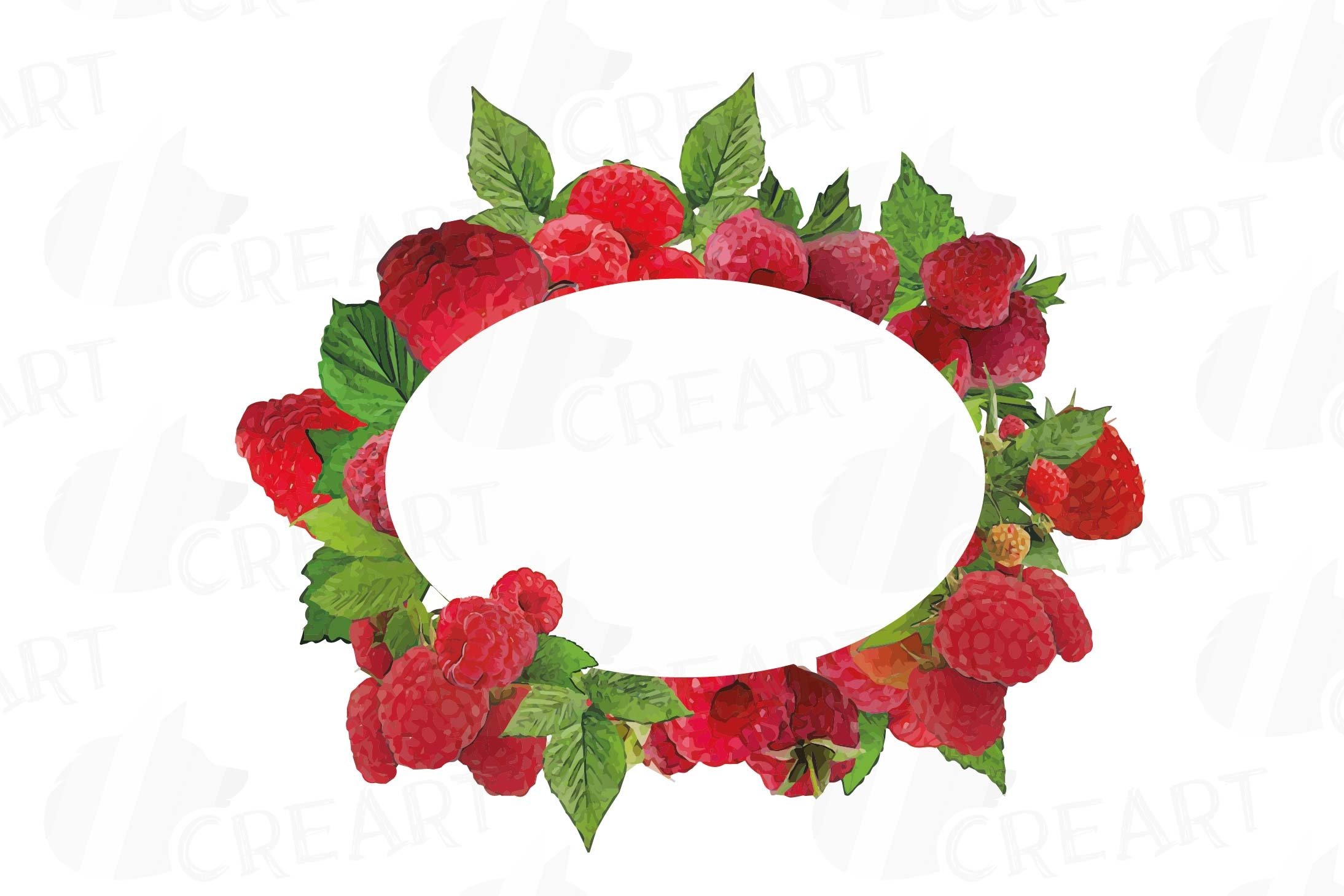 Raspberry frames watercolor clip art pack, Raspberry fruit (114031 ...