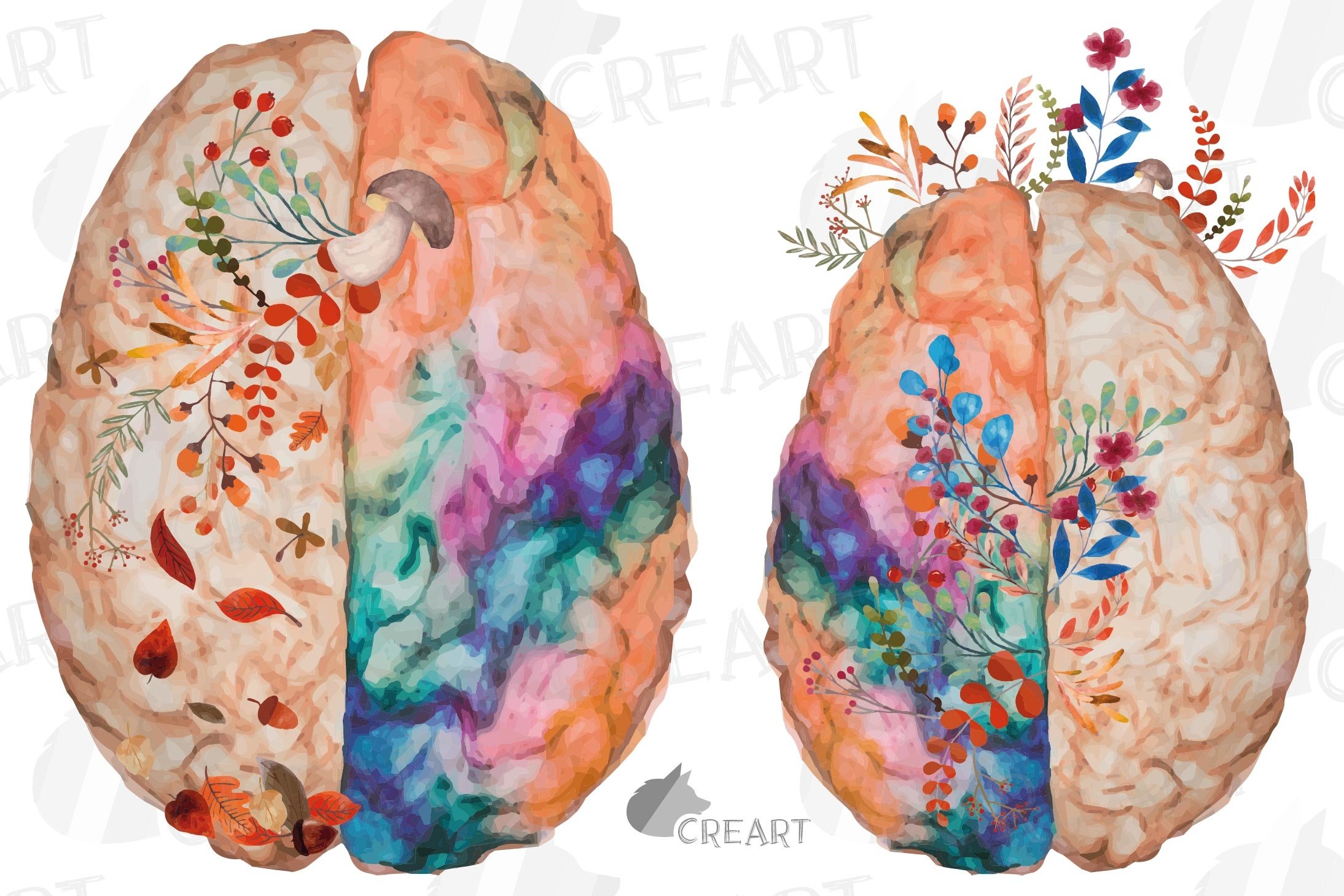 Watercolor Autumn blooming anatomical brain design clip art. (593851 ...