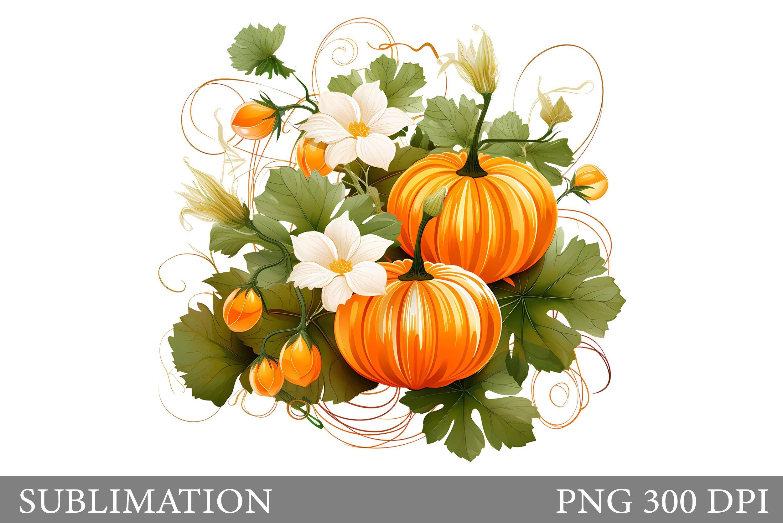 Pumpkin Flower Clipart