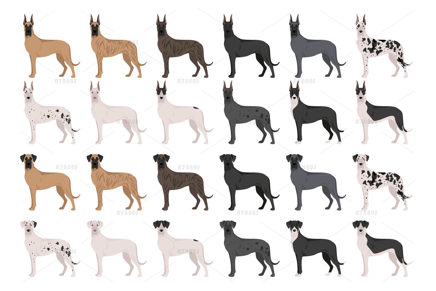 Great Dane Color Graph