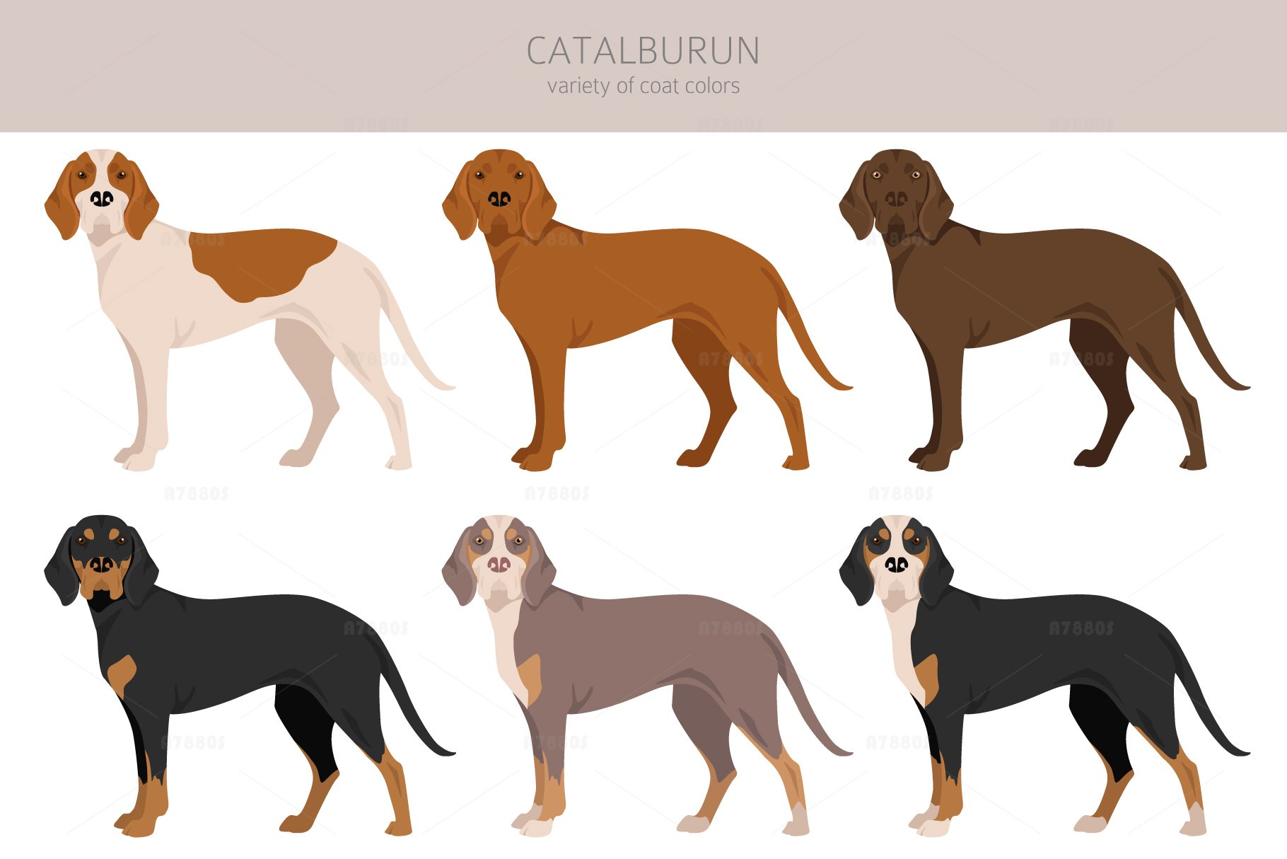 Catalburun Dog