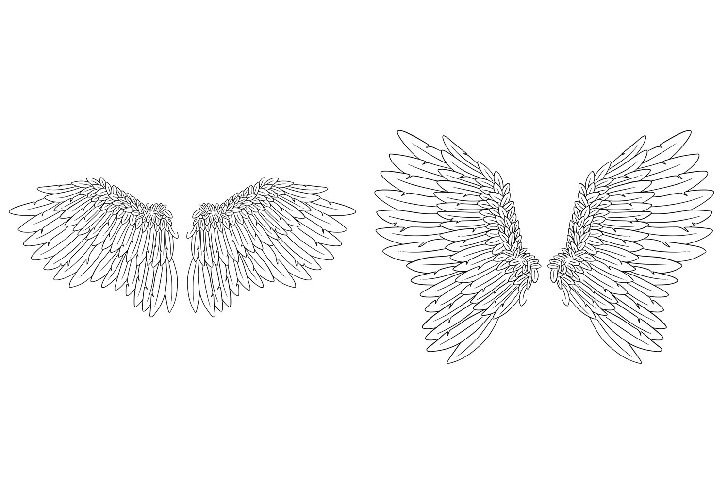 Feather Wings Drawings Outlines