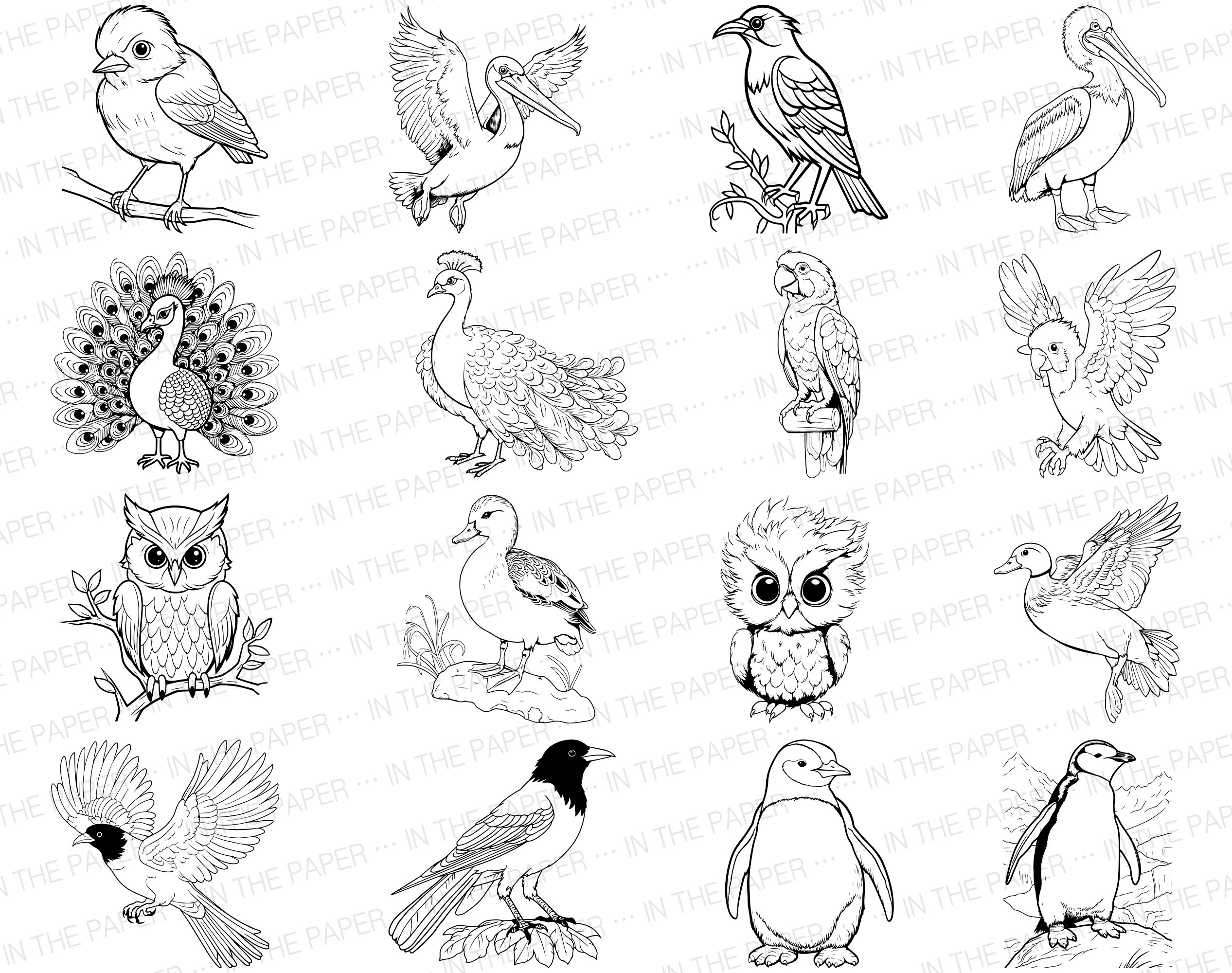 Types Of Coloring Pages [2025]