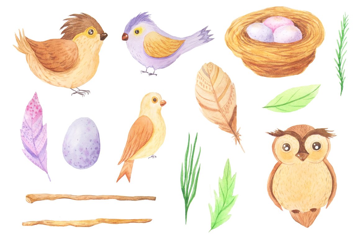 Watercolor Birds Set