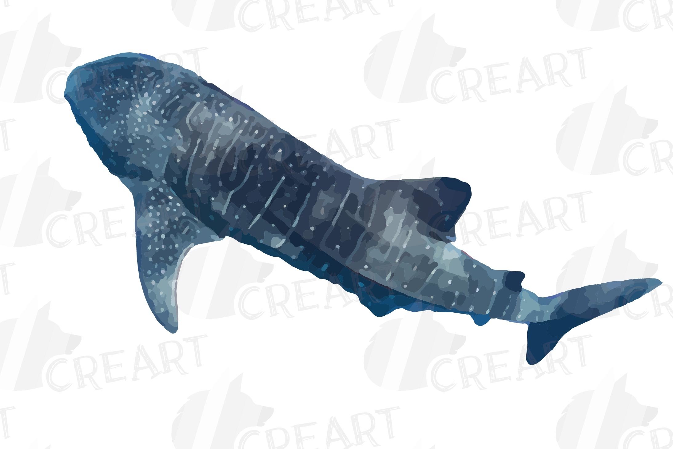 Watercolor whale shark clip art pack, colorful whale shark (220827 ...